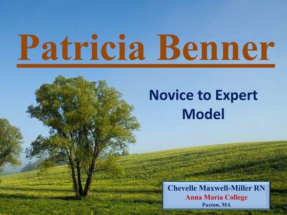 Patricia Benner (Novice to Expert Theory) | PPT