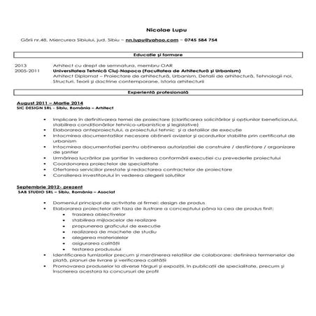 NL_CV+Portofoliu | PDF