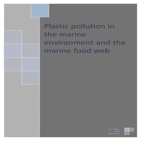Plastic pollution in the marine environment and the marine food web | PDF