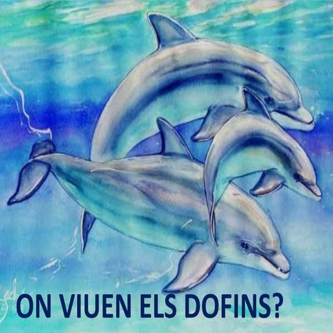 dofins d'aigua dolça i salada | PPSX