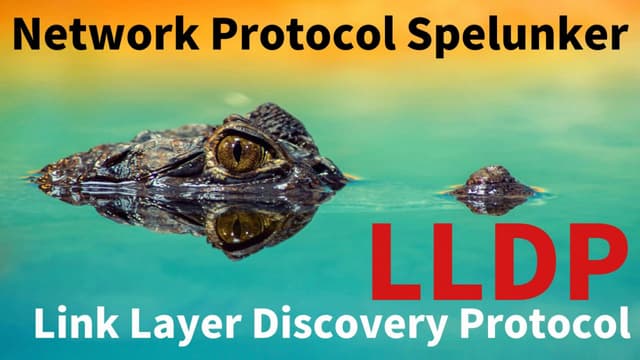 Network Protocol Spelunker Lldp Link Layer Discovery Protocol Pdf Operating Systems
