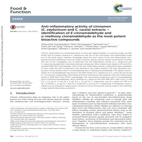 Cinnamon Paper | PDF