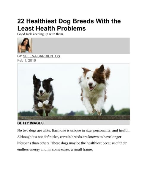 What Small Dog Has The Least Health Problems