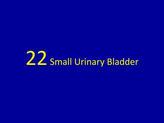 29 separation of small bowel loops | PPT