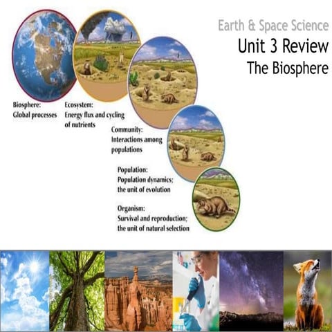 Unit 3 Review: the biosphere | PPT | Pets