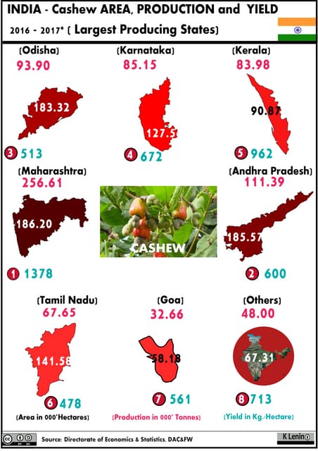 19.3 India Total pulses area production and yield 2016 - 2017 | PDF