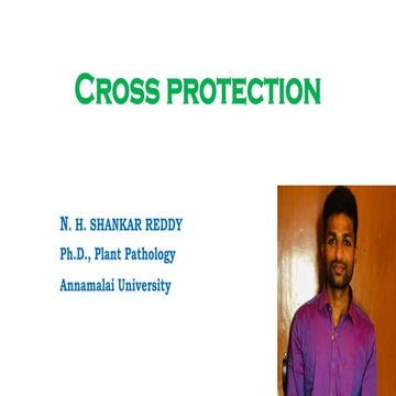 Cross protection | PDF