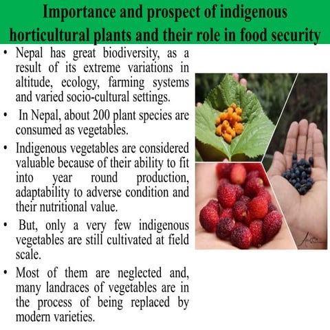 23. Importance and prospect of Indigenous horticulture crops.pptx
