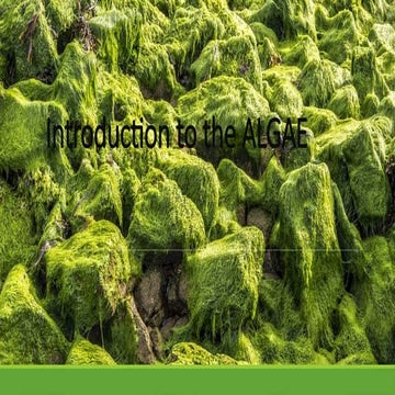 23. Algae and its Classification .pptx
