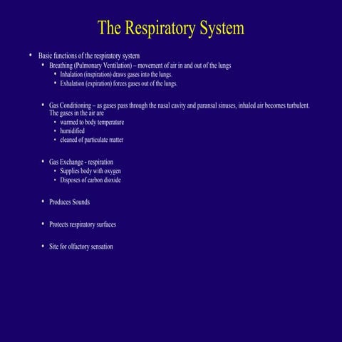 Basic Physiology of the Respiratory System.ppt