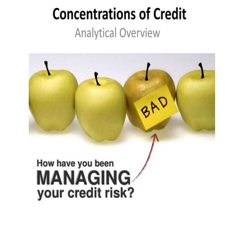 Concentrations of Credit Presentation | PPT