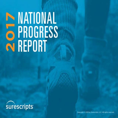 2017 National Progress Report | PPTX