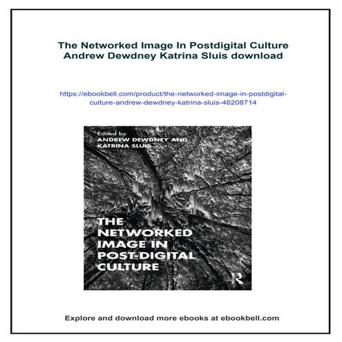 The Networked Image In Postdigital Culture Andrew Dewdney Katrina Sluis | PDF
