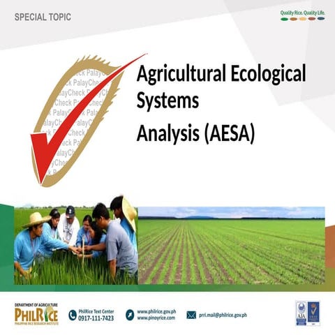 231121-1a-Agro-ecosystems Analysis (AESA)_KMdelCastillo.pptx