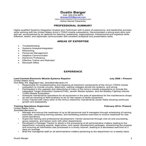 Professional Resume | DOCX