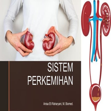Sistem perkemihan pada kesehatan manusia | PPTX
