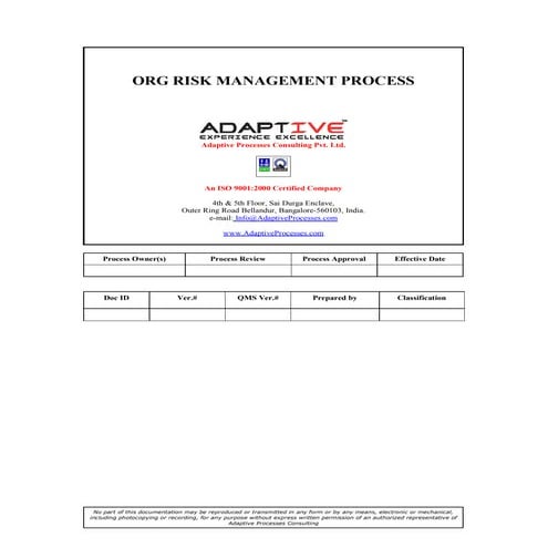 Organizational Risk Management Process | PDF