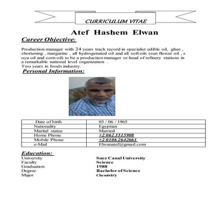 Atef Elwan | PDF