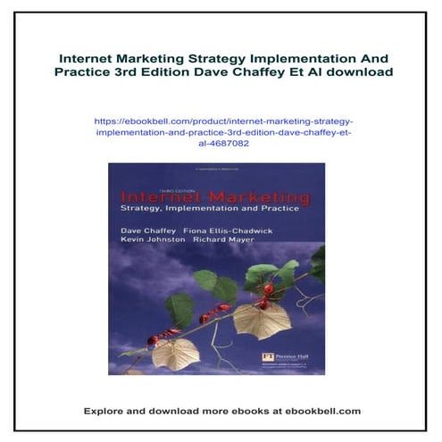 Internet Marketing Strategy Implementation And Practice 3rd Edition ...