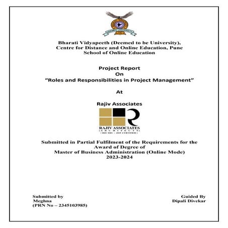 OLES AND RESPONSIBILITIES IN PROJECT MANAGEMENT | PDF