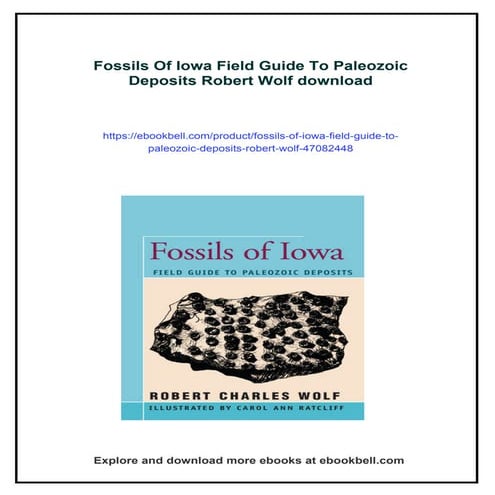 Fossils Of Iowa Field Guide To Paleozoic Deposits Robert Wolf | PDF