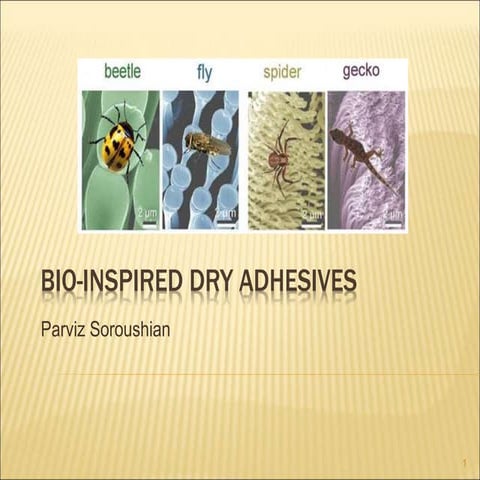 23 6 14 Bio Inspired Adhesives PS.ppt