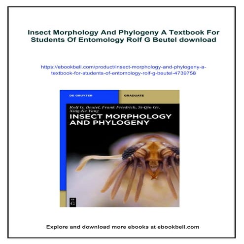 Insect Morphology And Phylogeny A Textbook For Students Of Entomology ...