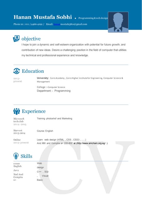 CV Alessandro Giuseppe Fantini | PDF | Programming Languages | Computing