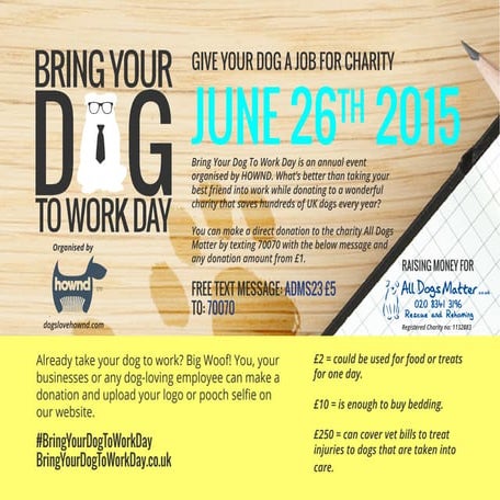 BYD 2015 Flyer | PDF