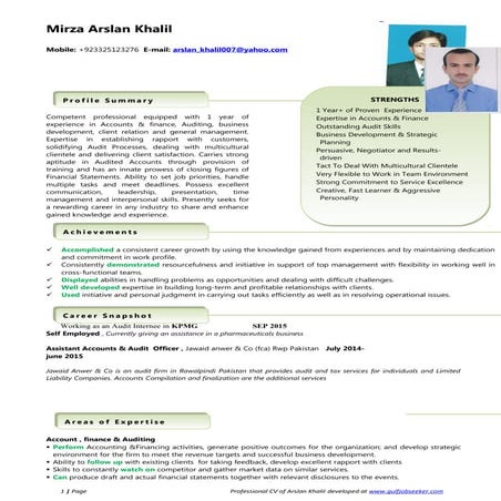 Mirza arslan CV | DOC