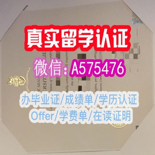 McMaster University degree offer diploma Transcript | PPT