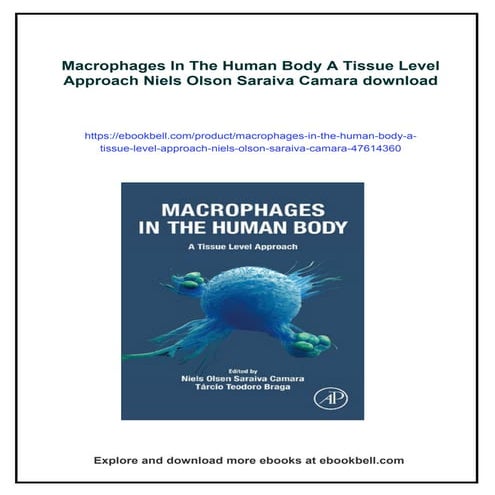 Macrophages In The Human Body A Tissue Level Approach Niels Olson ...