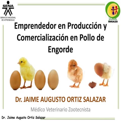 239244062-ggggggCurso-Pollo-de-Engorde.pptx