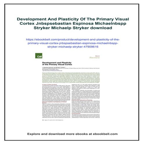 Development And Plasticity Of The Primary Visual Cortex Jnbspsebastian ...