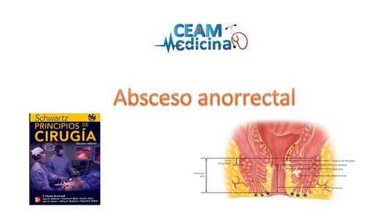 Fisura, absceso y fístula anales JP3.pptx