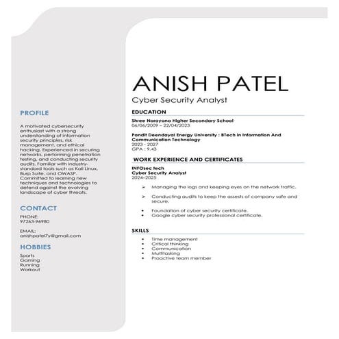 Anish resume THIS is the professional resume | DOCX