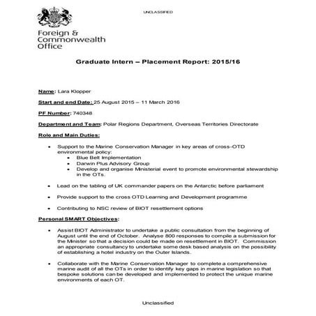 Graduate Intern - end of placement report template | DOCX