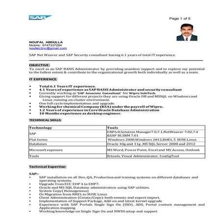 CV_SAP_BASIS_Noufal | PDF