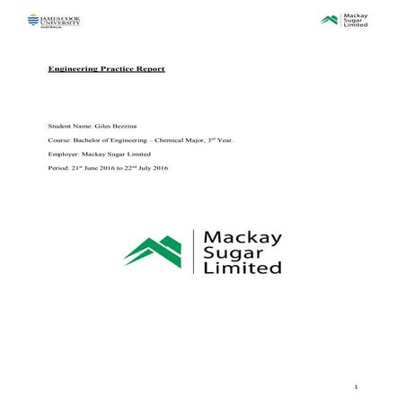 BEZZINA, Giles. MSL Placement Report | PDF