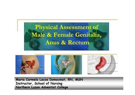 Gordons 11-functional-health-patterns | PDF