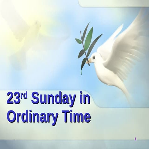 23rd Sunday In Ordinary Time For Distribution | PPT