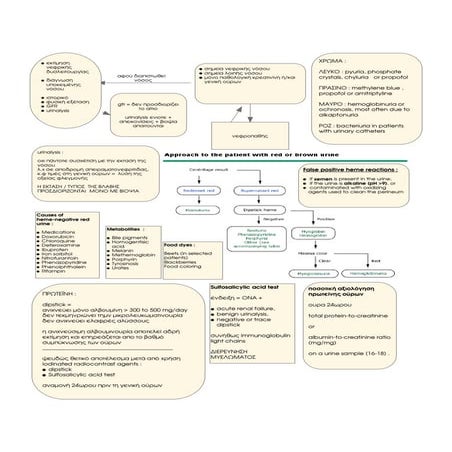 PATHOPHYSIOLOGY OF URINARY SYSTEM FOR STUDENT NURSES | PDF