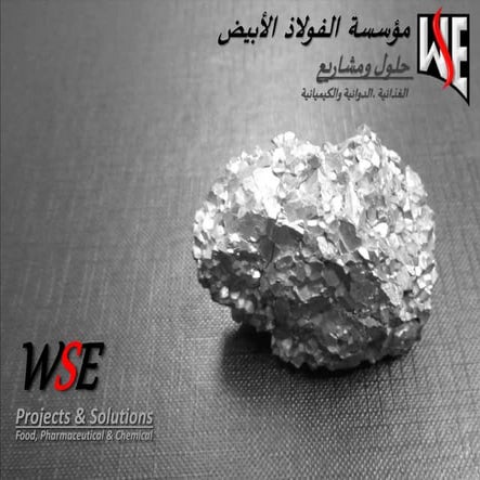 White Steel Establishment - Profile | PPT