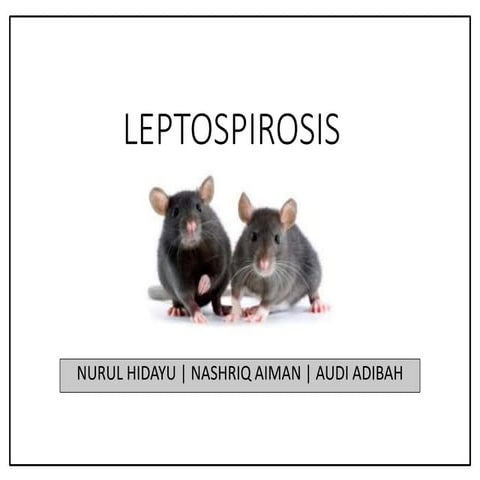 Leptospirosis | PPTX