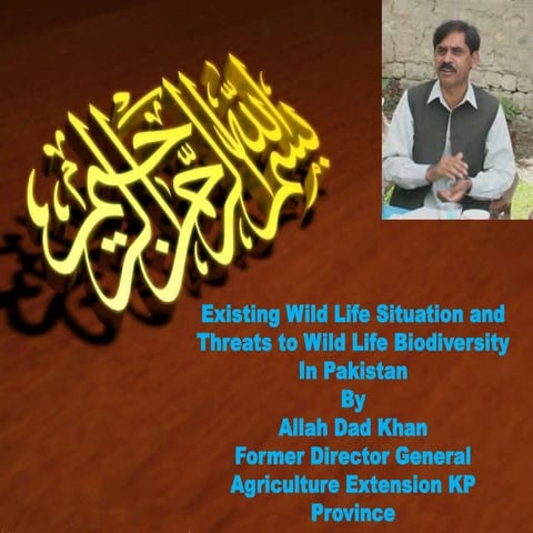 Wild life of pakistan | PPTX