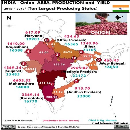 24.2 India Onion Area Production and Yield whole map 2016-2017 | PDF ...