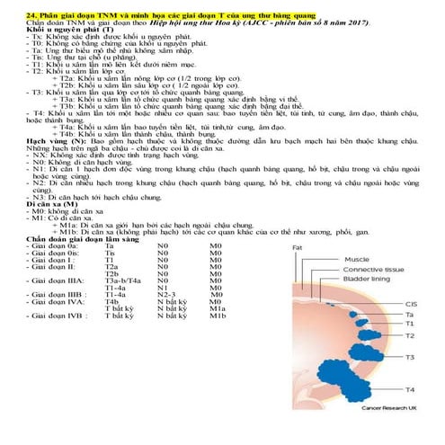 Cập nhật phân loại giai đoạn Ung thư bàng quang bản 8 - AJCC 2017 | DOCX