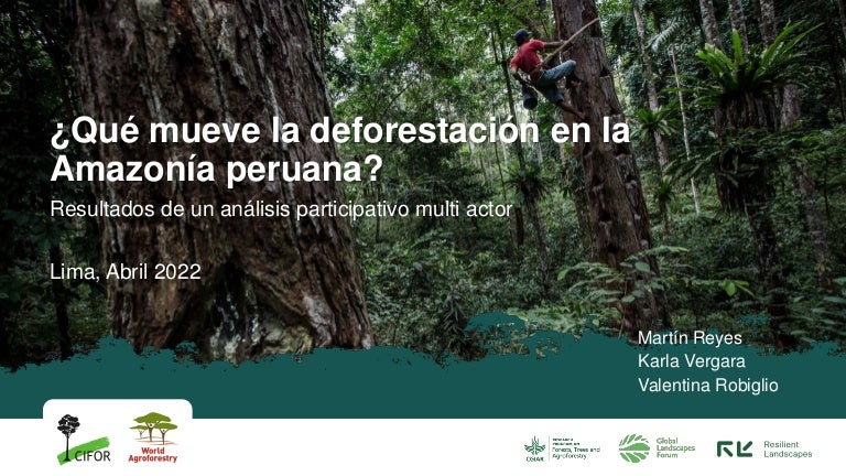 DRIVENET: What drives deforestation in the Peruvian Amazon? - CIFOR ...