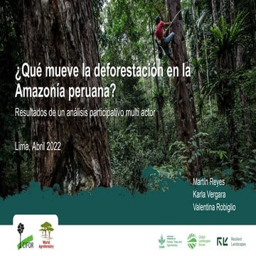 DRIVENET: What drives deforestation in the Peruvian Amazon? | PDF ...