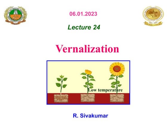 Vernalization | PPT